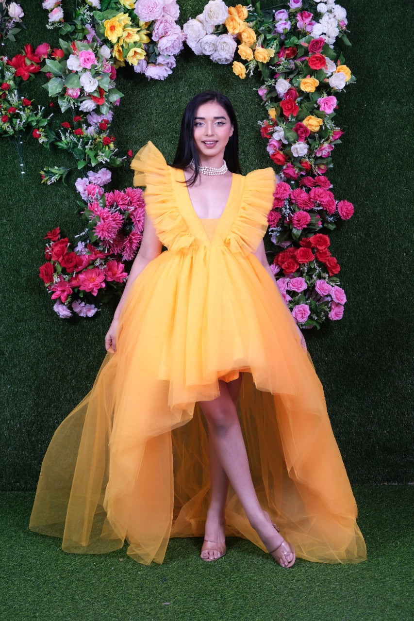 Princess Diana Mango dolly Gown – handmadelovebytanya