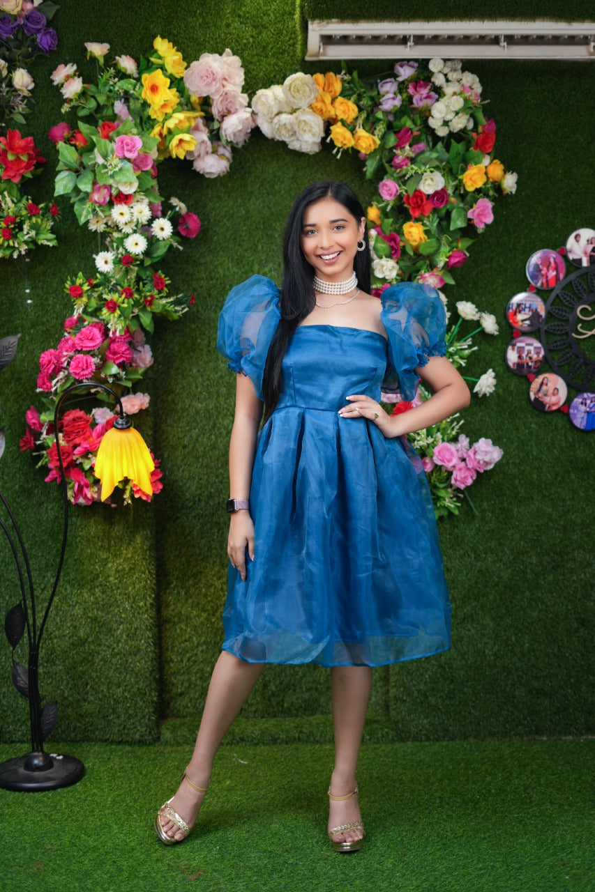 Blue Organza Barbie puff dress – handmadelovebytanya