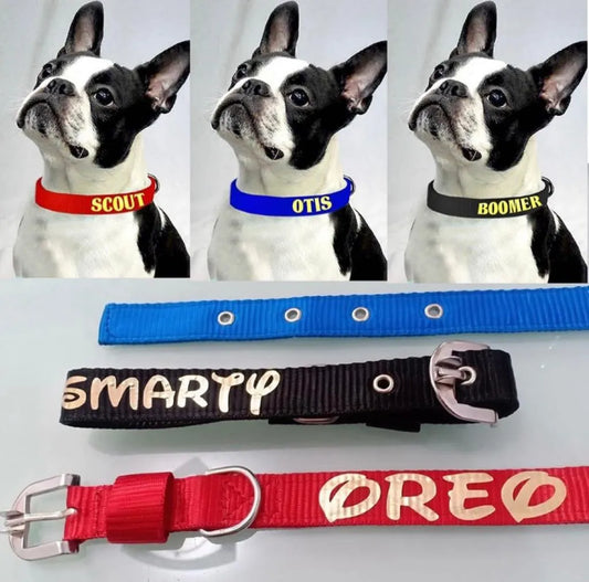 Dog belt – handmadelovebytanya